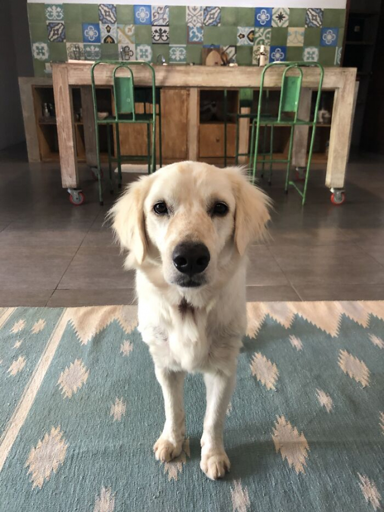 12 photos racontant la touchante et incroyable transformation de Bobby ...