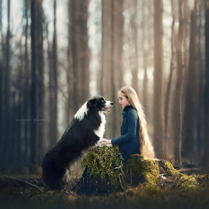 20 photos capturant le lien unique entre animaux et humains dans des ...