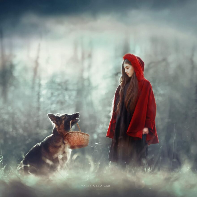 20 photos capturant le lien unique entre animaux et humains dans des ...