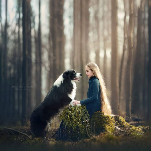 20 photos capturant le lien unique entre animaux et humains dans des ...