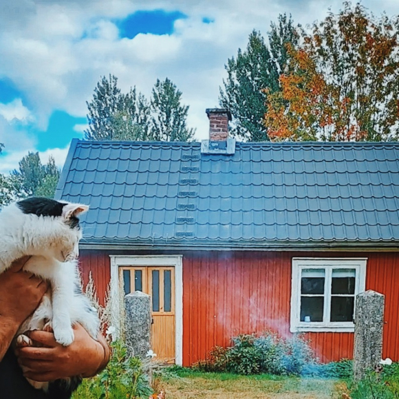 Découvrez Nomador, le nouveau service convivial pour faire garder votre ...