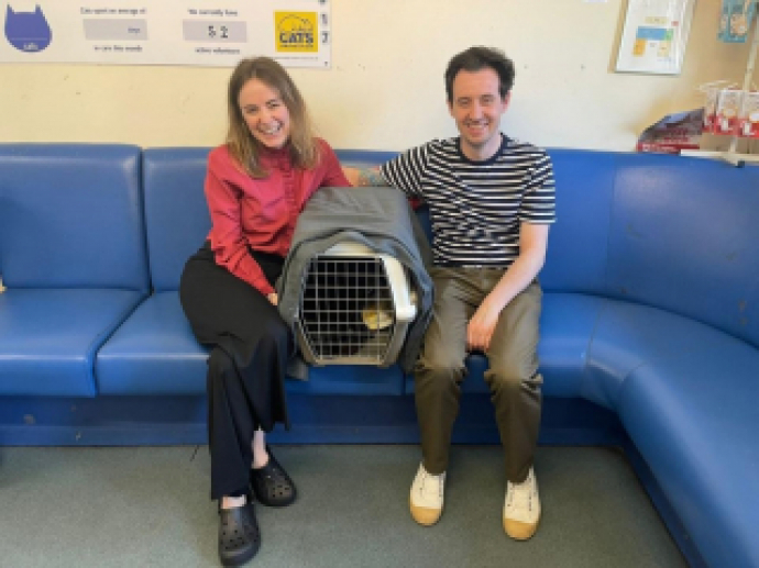 À 19 ans, Pepsi, une jolie chatte noire, retrouve l’espoir grâce à une ...