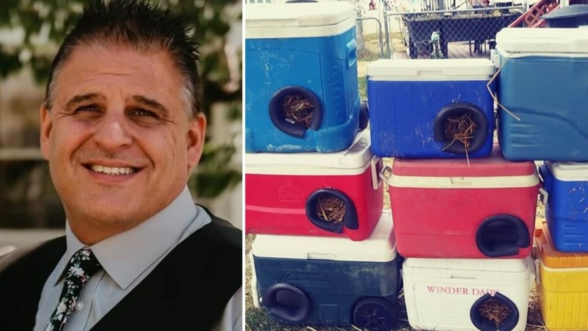 Il fabrique des abris hivernaux pour les chats des rues à partir de ...