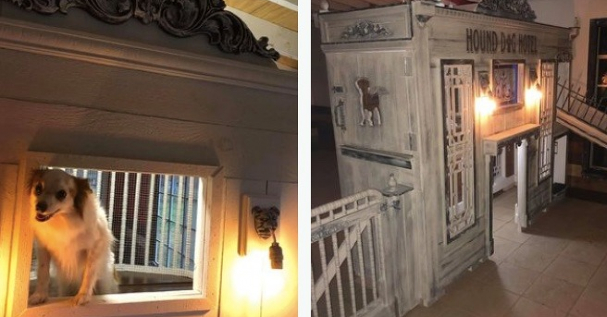 Une femme passionnée d'animaux crée un manoir pour chiens dans sa maison