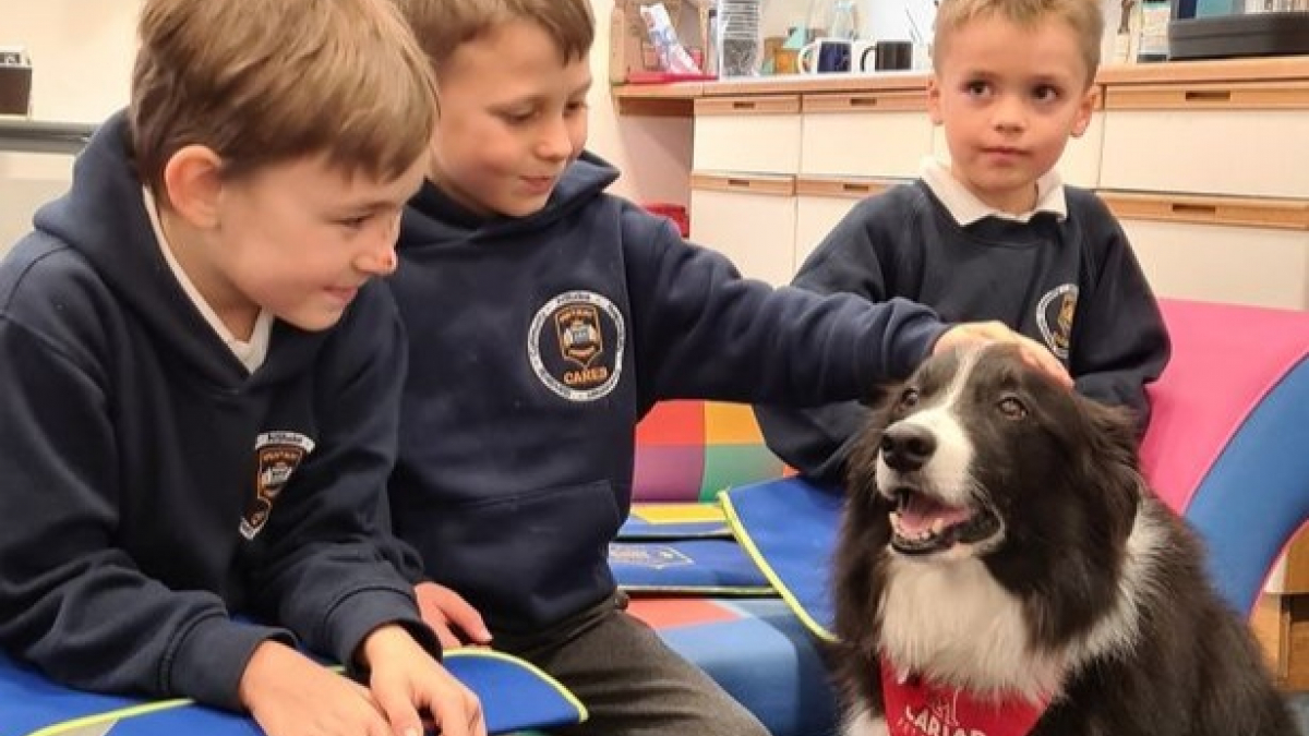 Un chien de thérapie assiste les élèves d’une école primaire dans leur ...