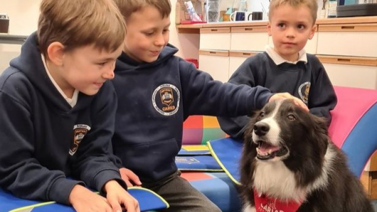 Un chien de thérapie assiste les élèves d’une école primaire dans leur ...