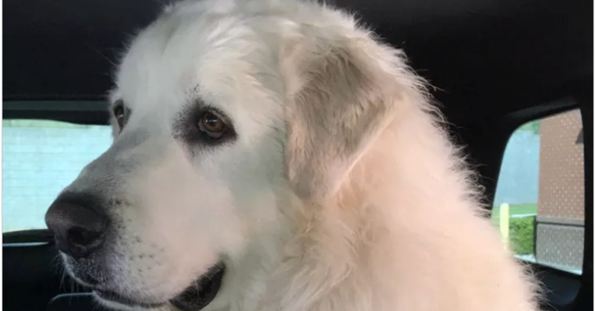 Un homme scandalisé par la proposition faite par la justice pour ...