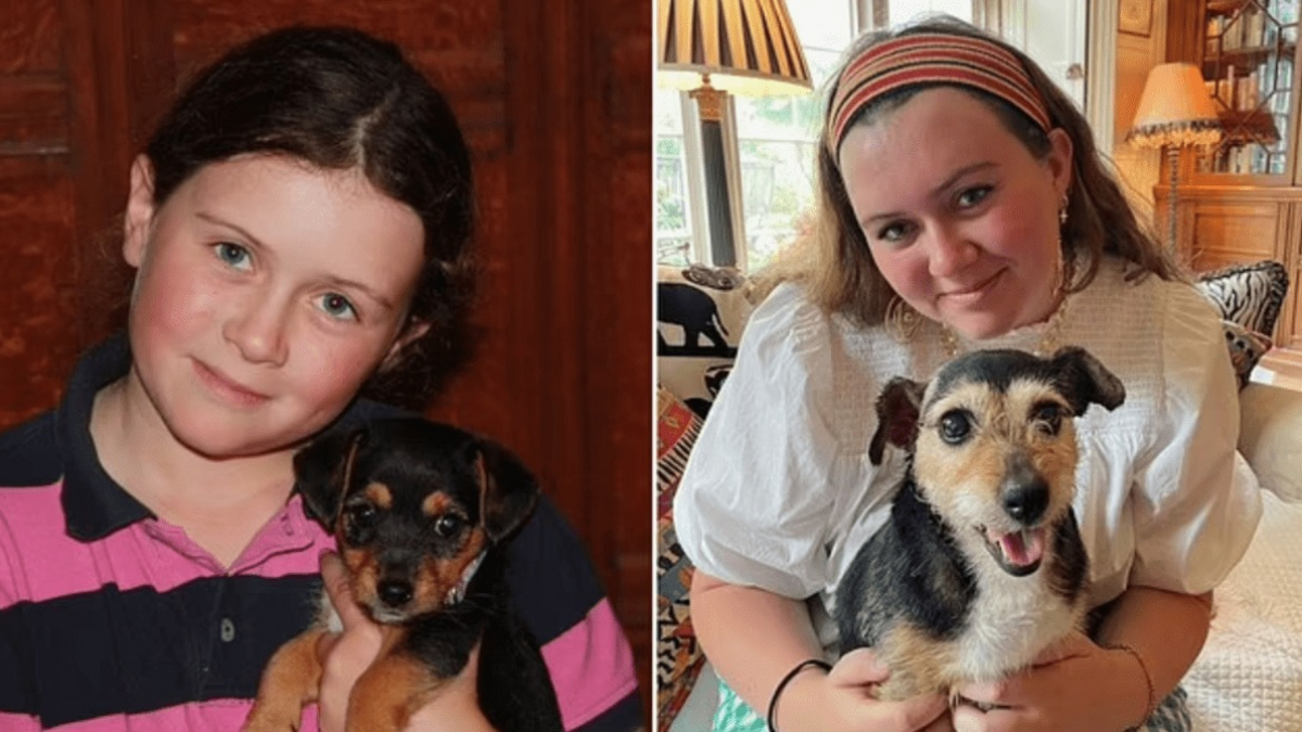 11 ans après la disparition de leur chien, ils reçoivent un appel inattendu