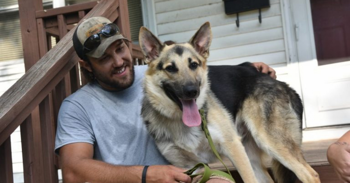 Un Berger Allemand rejoint le foyer d’un vétéran américain, pour son ...