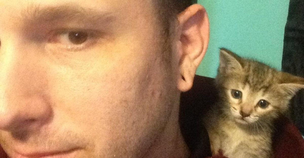 8 photos d'animaux qui débordent d'affection et apporteront de la ...