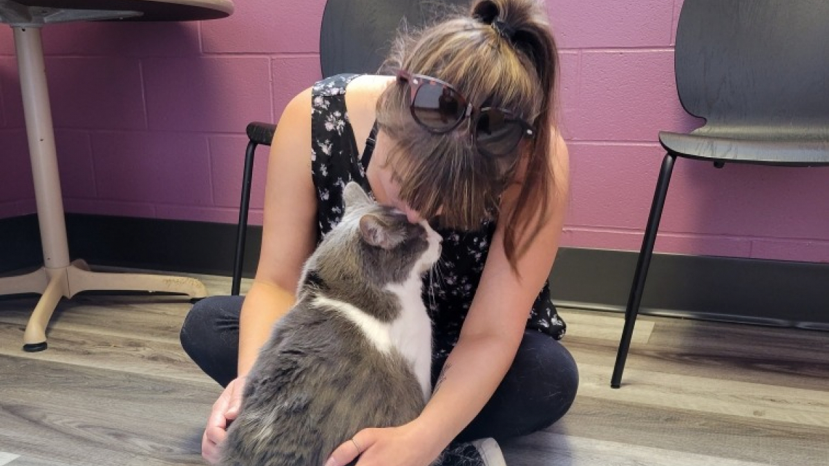 Les retrouvailles émouvantes entre un chat et sa maîtresse, après 4 ans ...