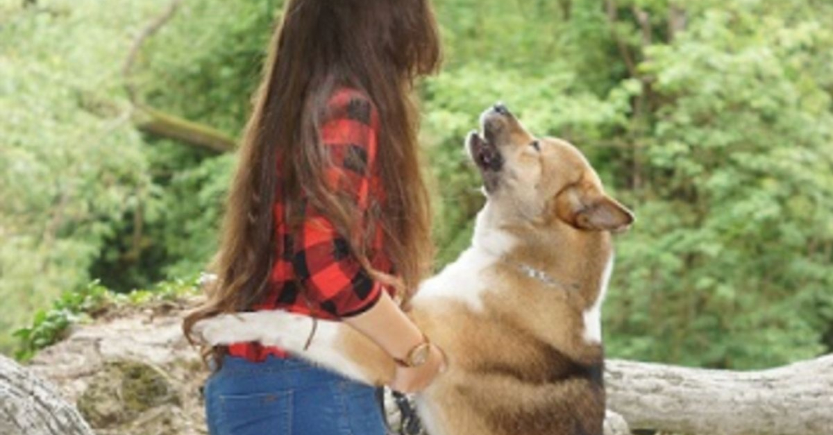 Sa passion pour les chiens, Sandra en a fait son métier et la met au ...
