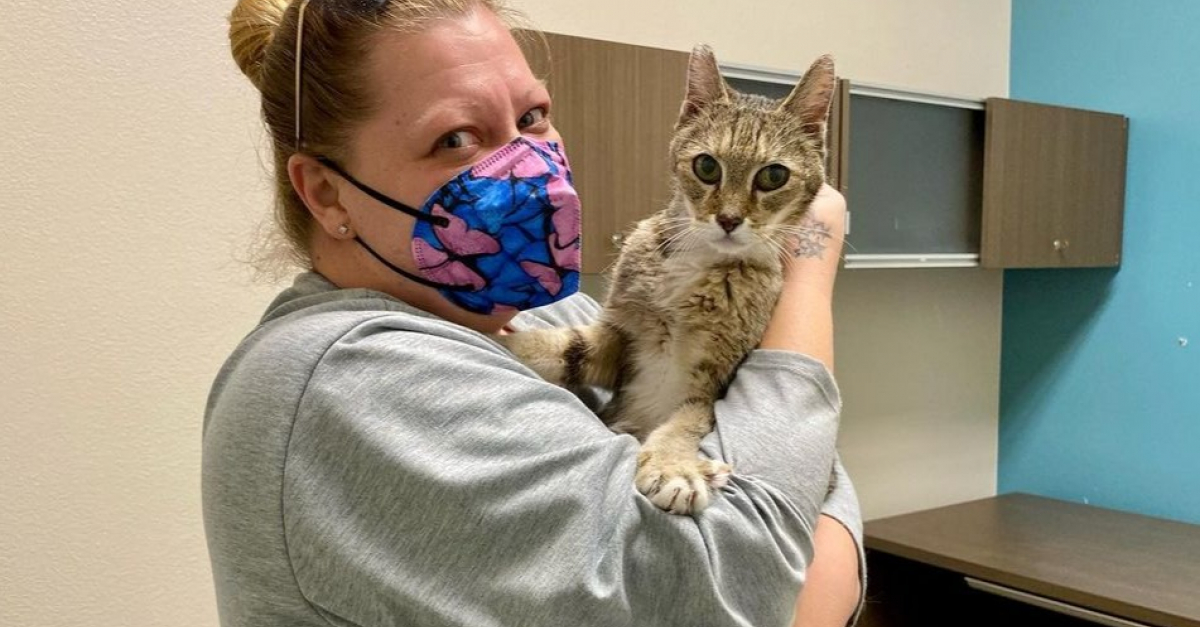 Vidéo : Une femme prend son chat dans ses bras pour la première fois ...