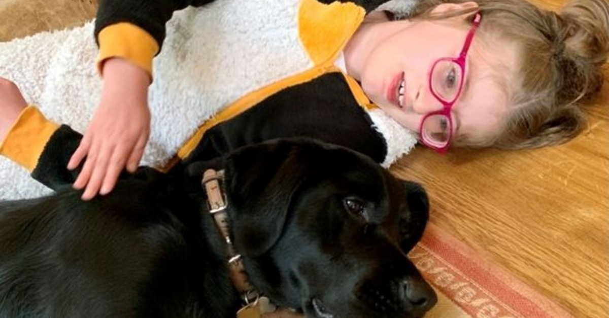 L'arrivée d'une chienne dans la vie d'une enfant autiste et malvoyante ...