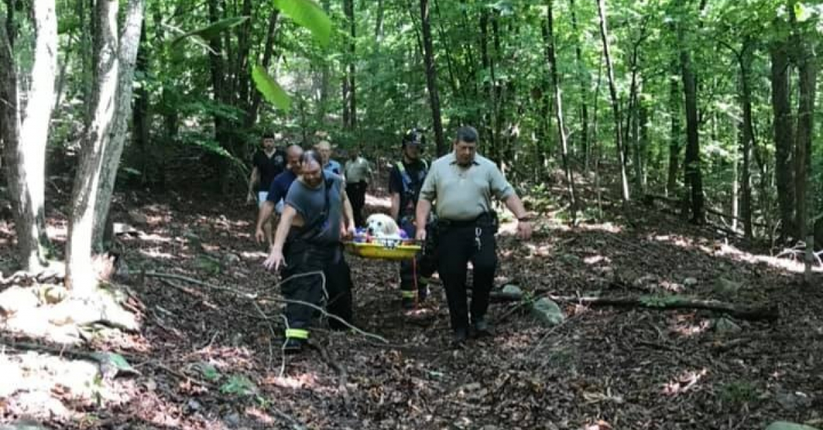 Malgré son grand âge et ses problèmes de santé, Sampson survit ...