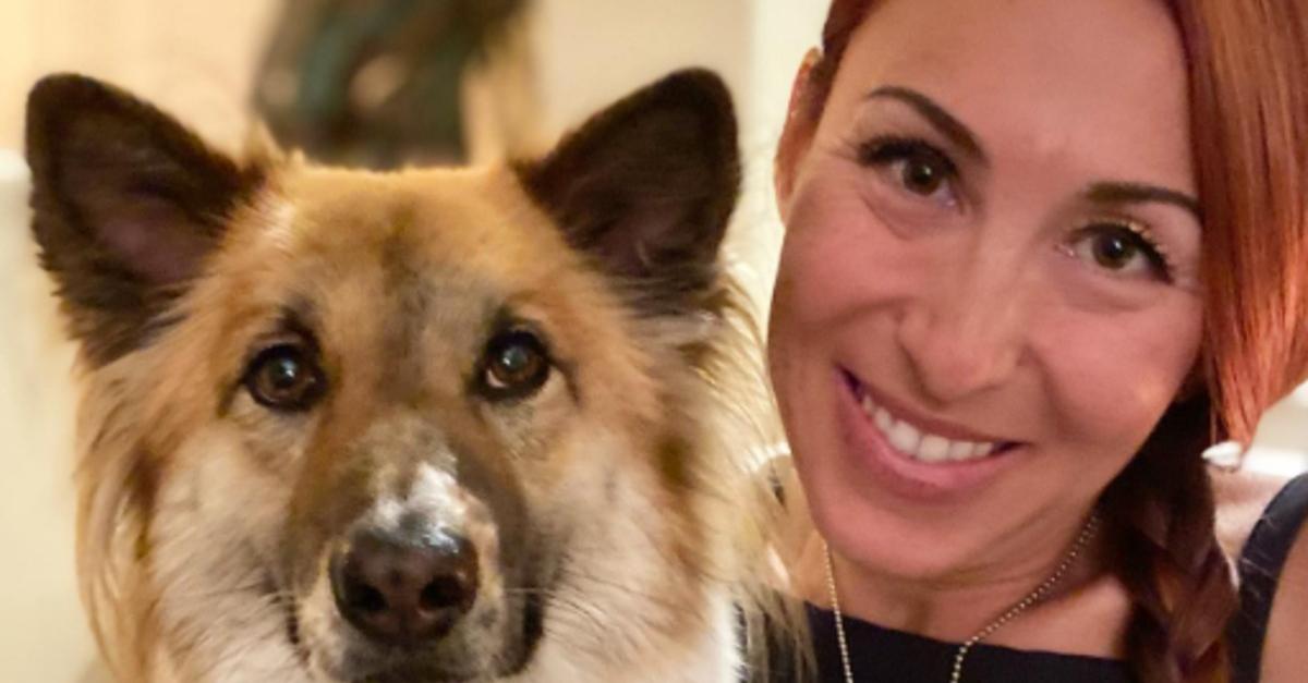 Une chienne handicapée rencontrée lors d’un voyage voit sa vie changer et devient une source d ...