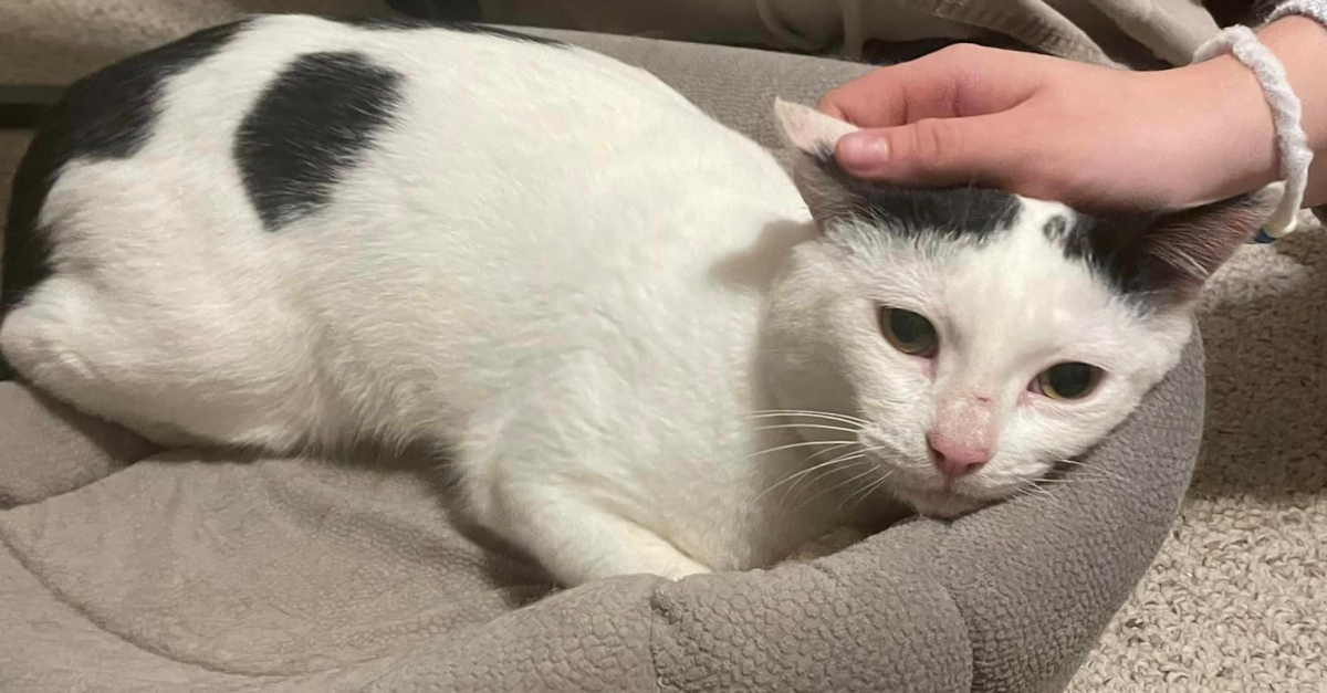 Après avoir parcouru 7 000 km pour avoir le bonheur d’intégrer une ...