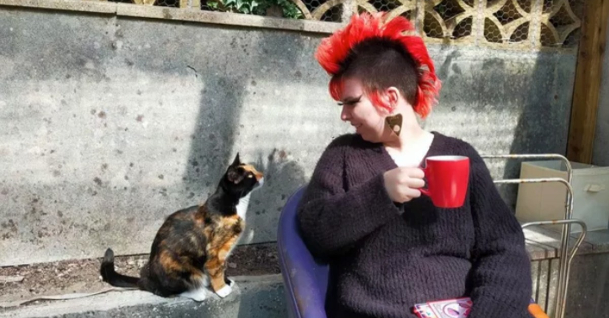 13 photos originales de chats farfelus qui vous feront craquer