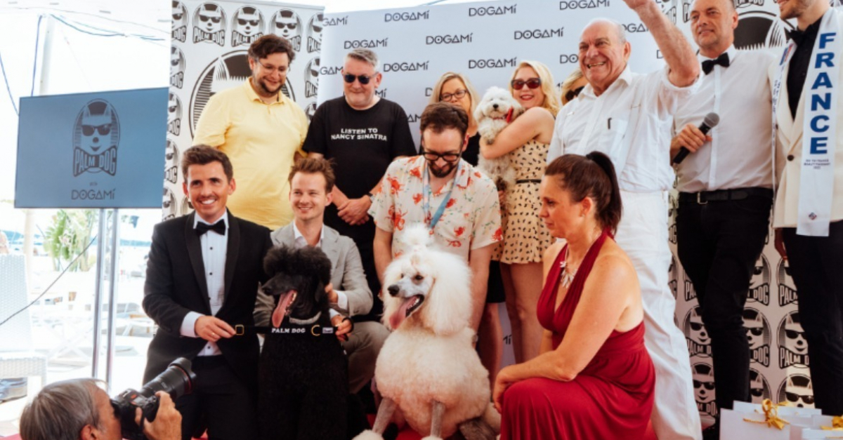 French Bandit conceptrice du collier de la Palm Dog by Dogamí qui sera ...