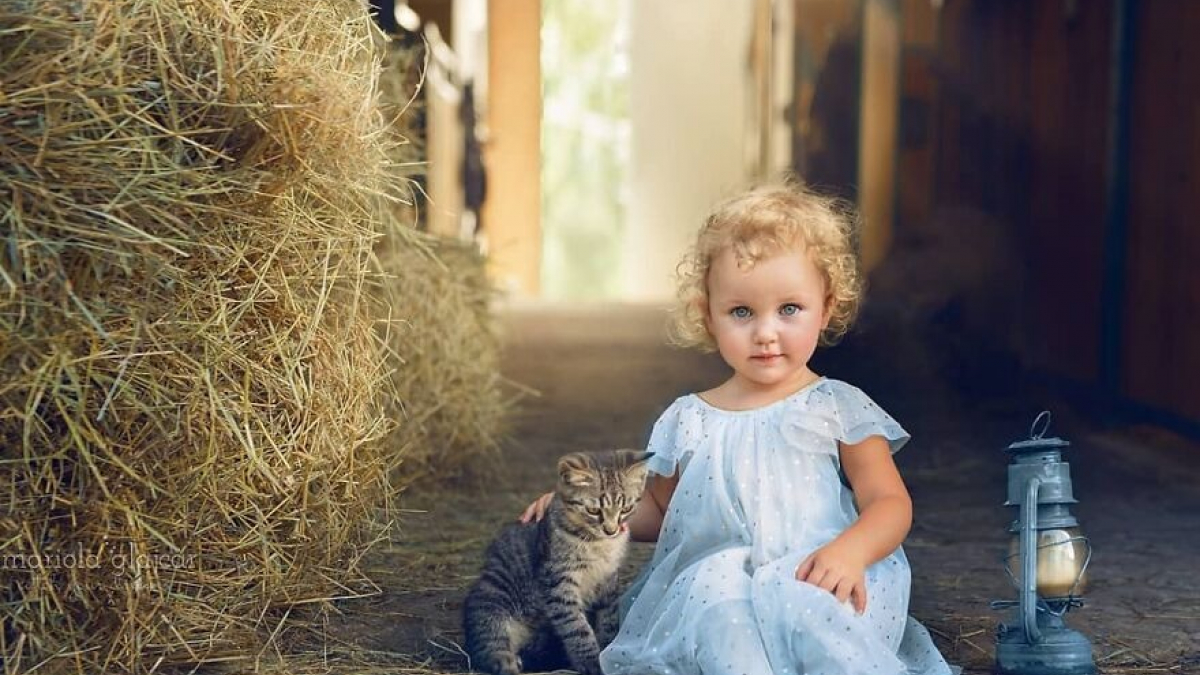 20 photos capturant le lien unique entre animaux et humains dans des ...