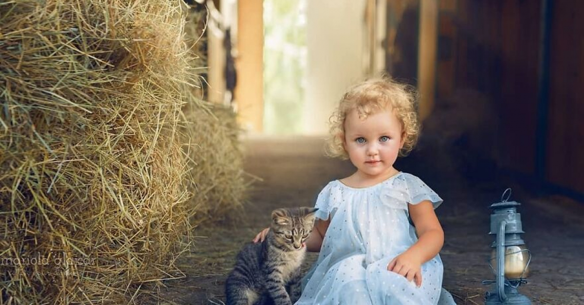 20 photos capturant le lien unique entre animaux et humains dans des ...