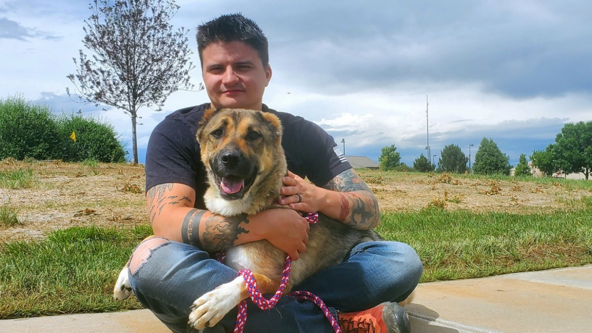 Un vétéran américain tient à adopter un chien en Afghanistan pour lui ...