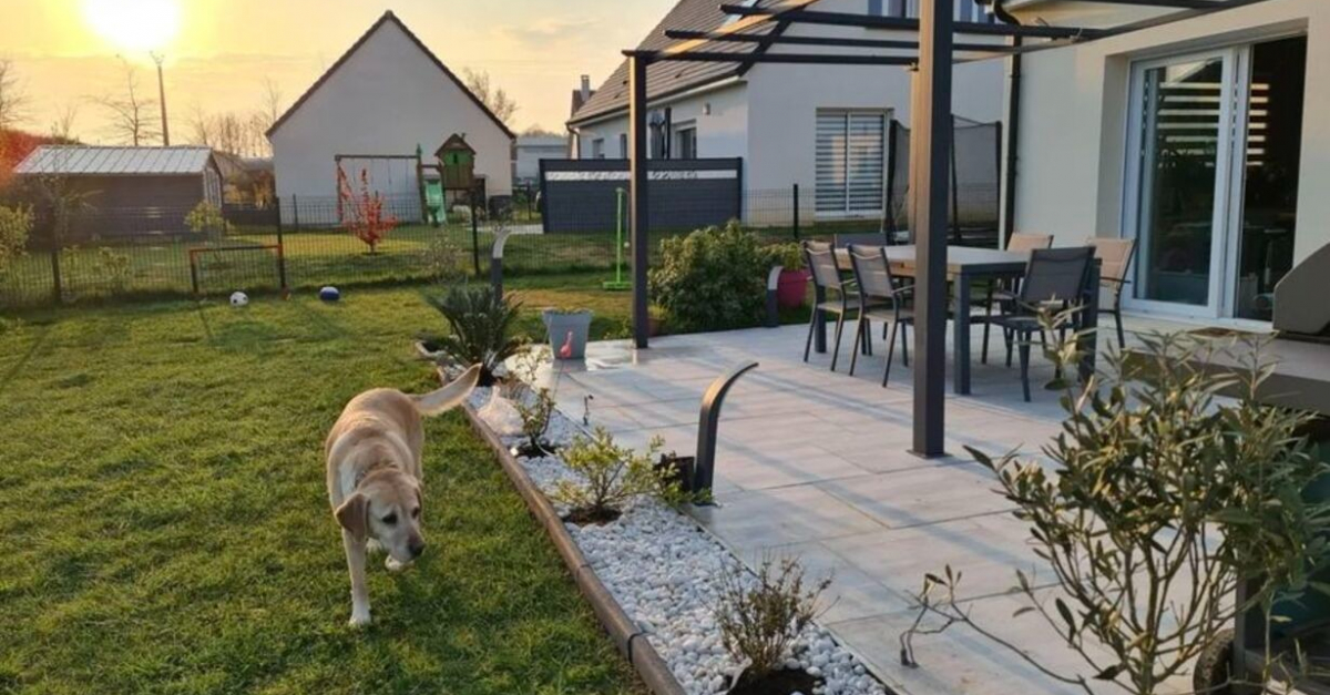 Découvrez Nomador, le nouveau service convivial pour faire garder votre ...