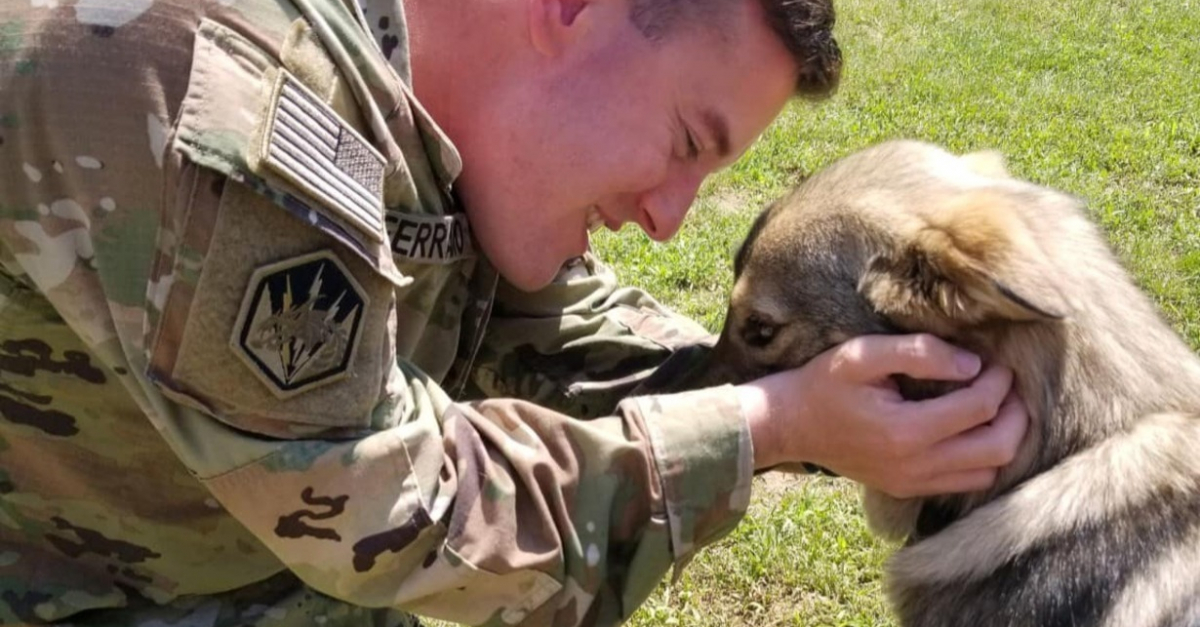 Un militaire pensait ne plus jamais revoir son ami canin rencontré en ...