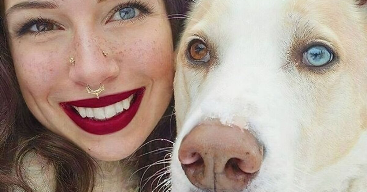 20 photos révélant les traits communs partagés entre les chiens et ...