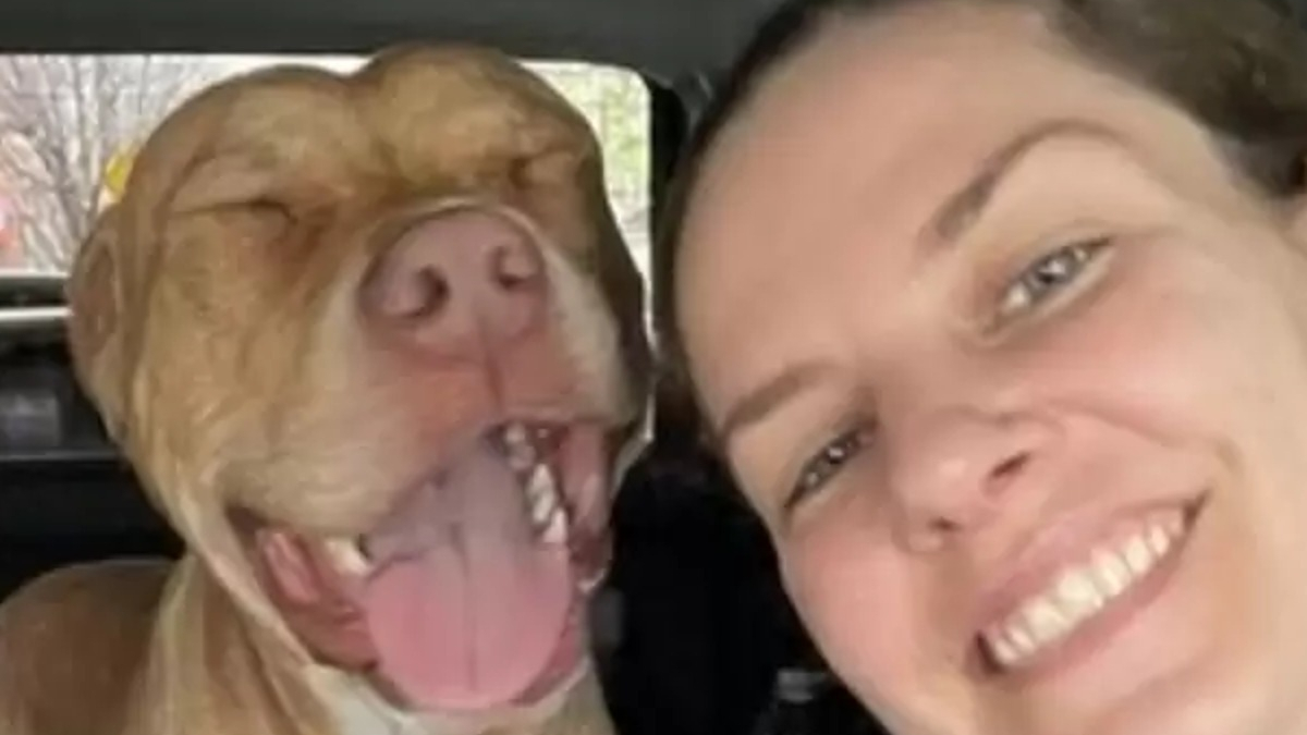 La vie sourit à nouveau à Ronnie, chien de refuge à la bonne humeur ...