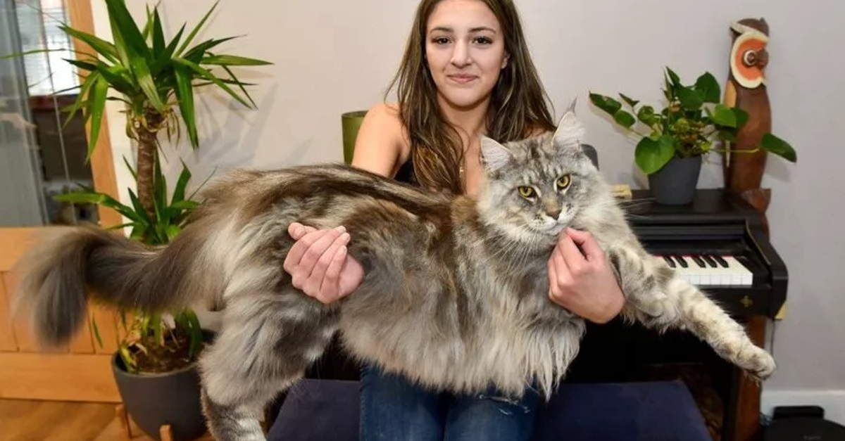 Vers un nouveau record du monde ? Faites la connaissance de Murphy ...