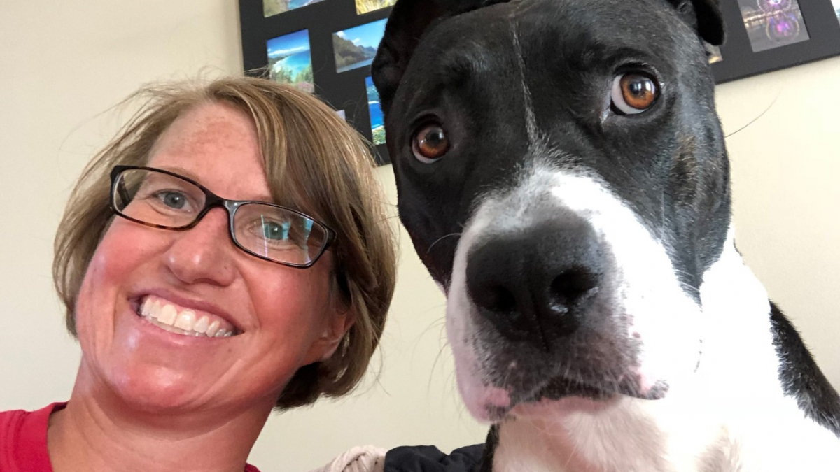 Après un an et demi d’attente au sein d’un refuge, ce chien devient la ... Après un an et demi d’attente au sein d’un refuge, ce chien devient la ...