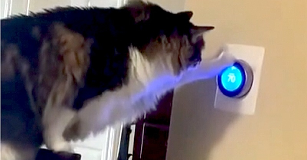 Ils observent des changements anormaux de température, jusqu’à ce qu ...