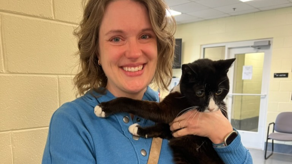 Ils déclarent leur chat mort, jusqu’à ce qu’ils reçoivent un appel 9 ...