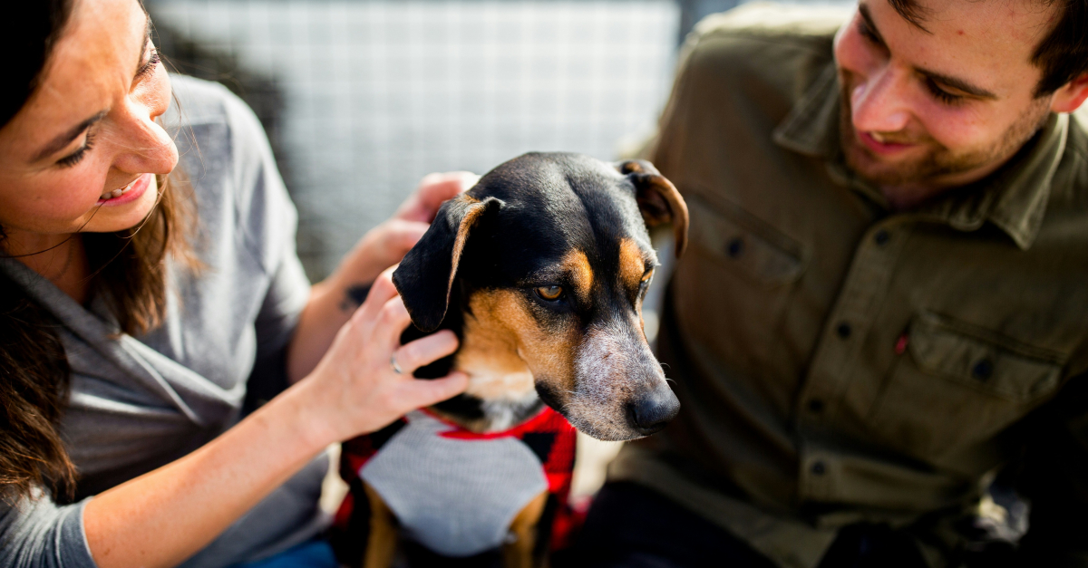 Confrontée à un ultimatum, une femme est amenée à choisir entre son ...