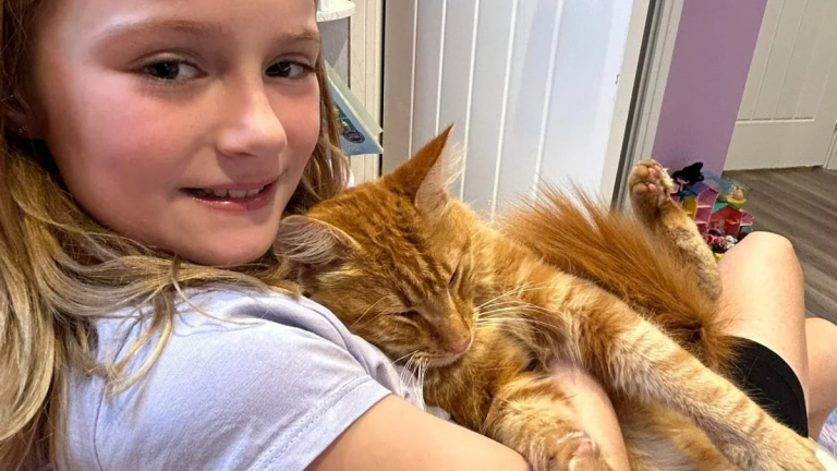Le chat d’une fillette retrouve enfin le chemin de son foyer après ...